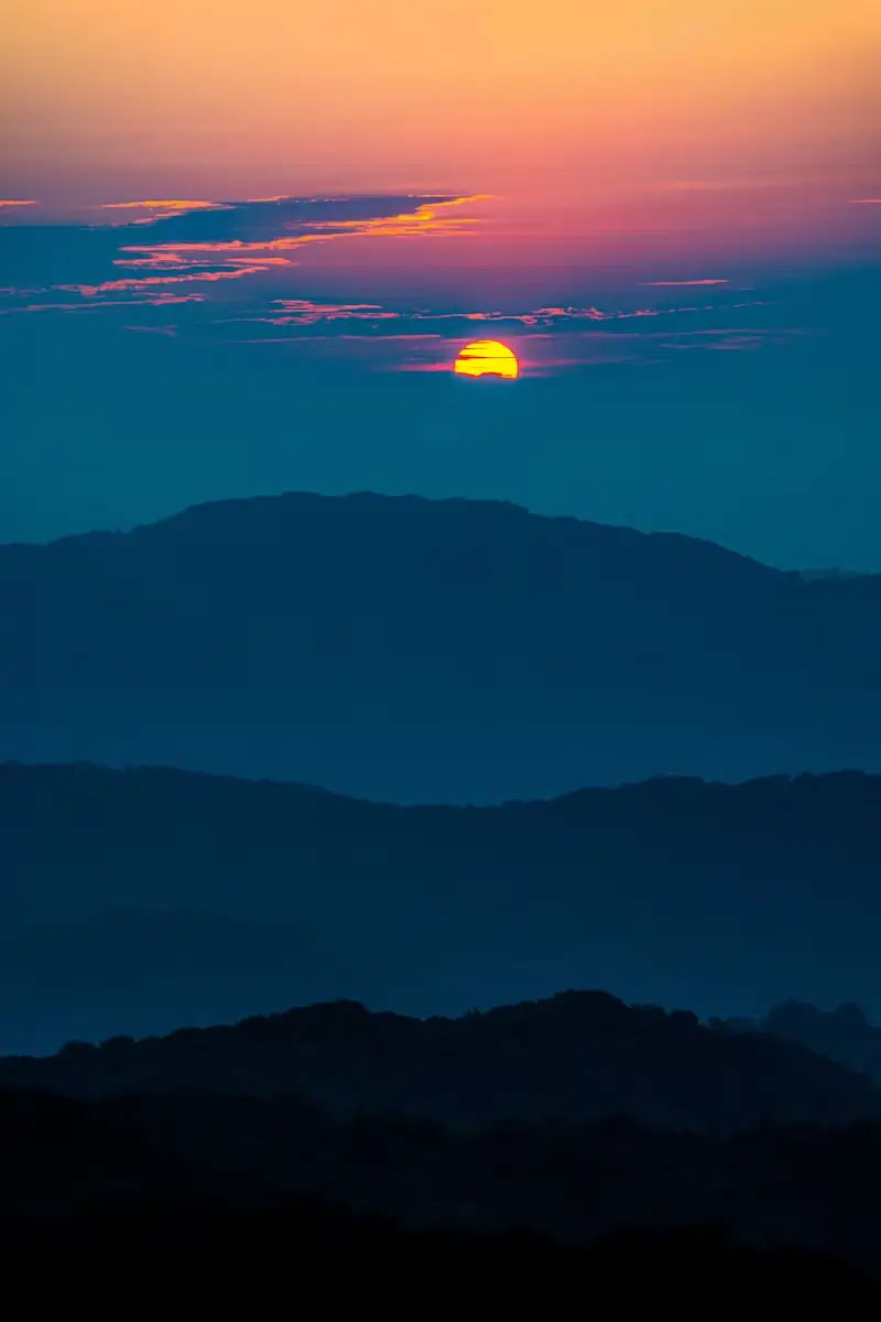 Temasek Foundation Report 2024